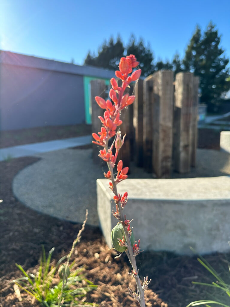 Transforming the Sato Family Nonprofit Center - Napa Valley Community ...