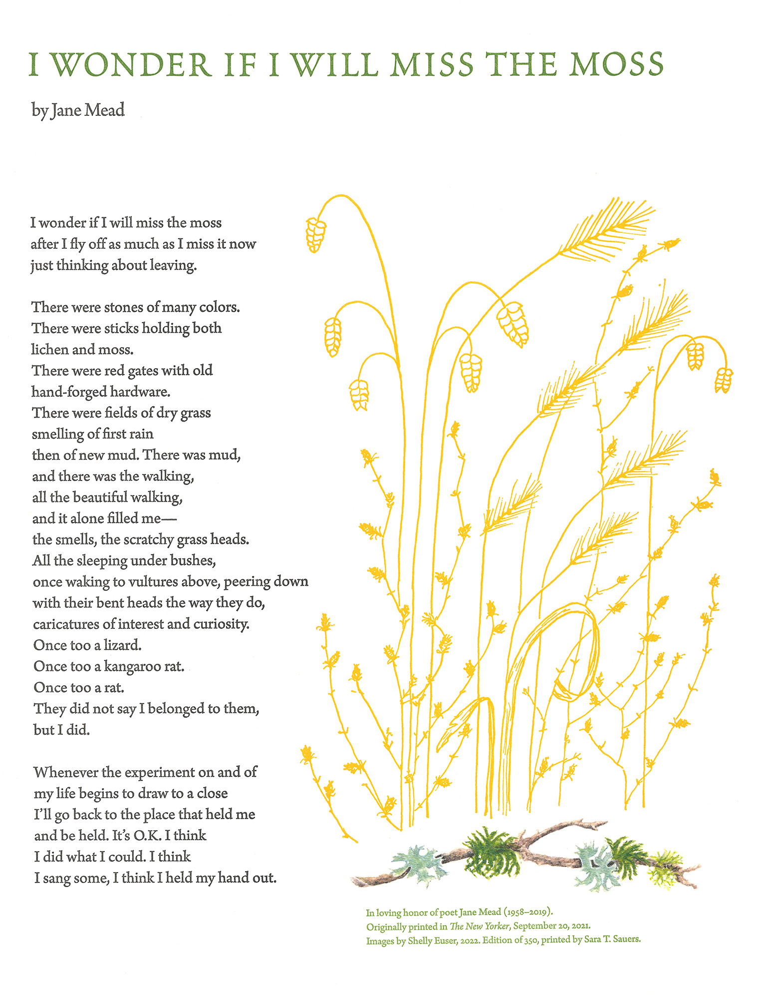 Jane Mead: A Legacy of Compassion and Community - Napa Valley Community ...